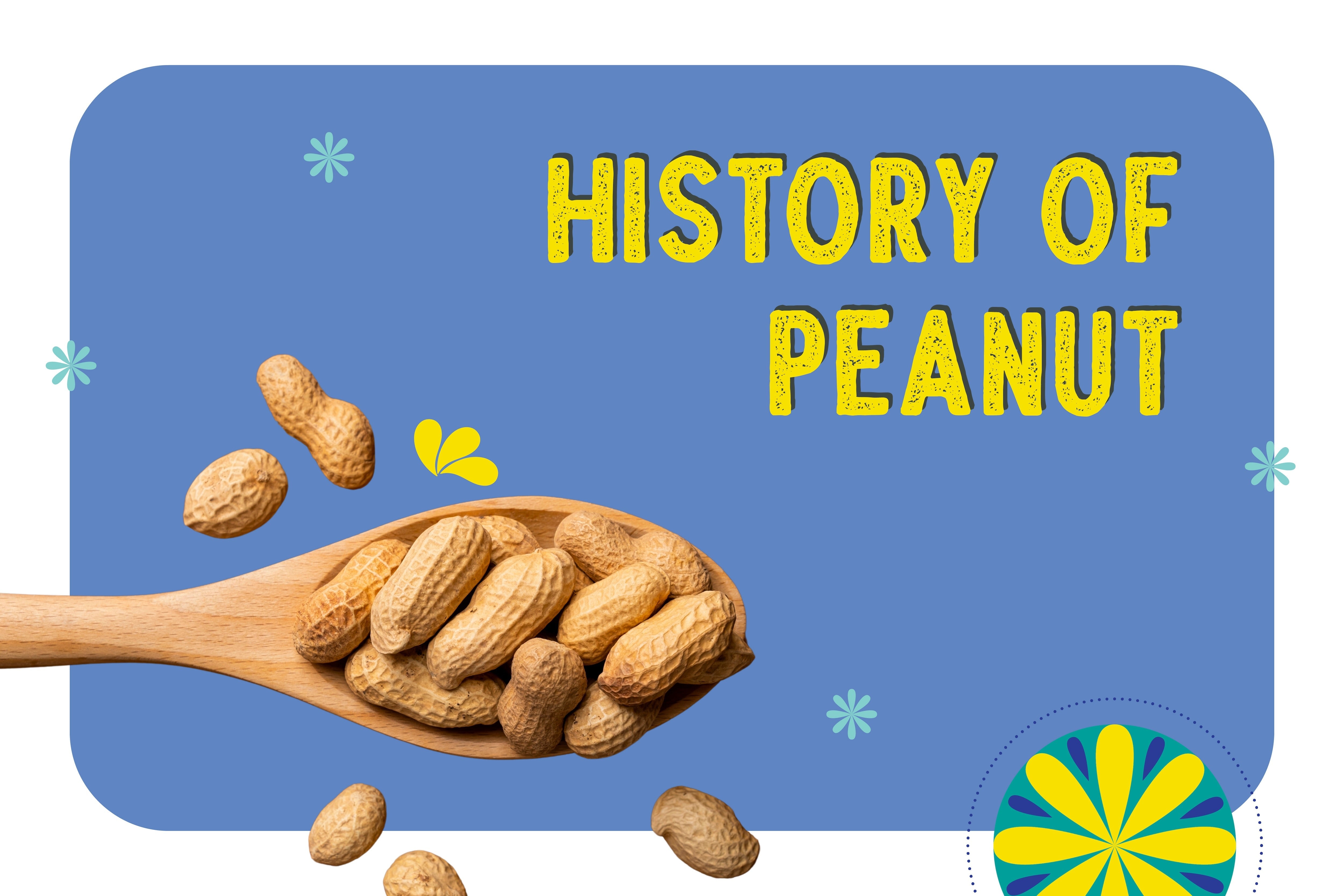 History of Peanut | From South America to Indian Kitchens – Rewynd Snacks