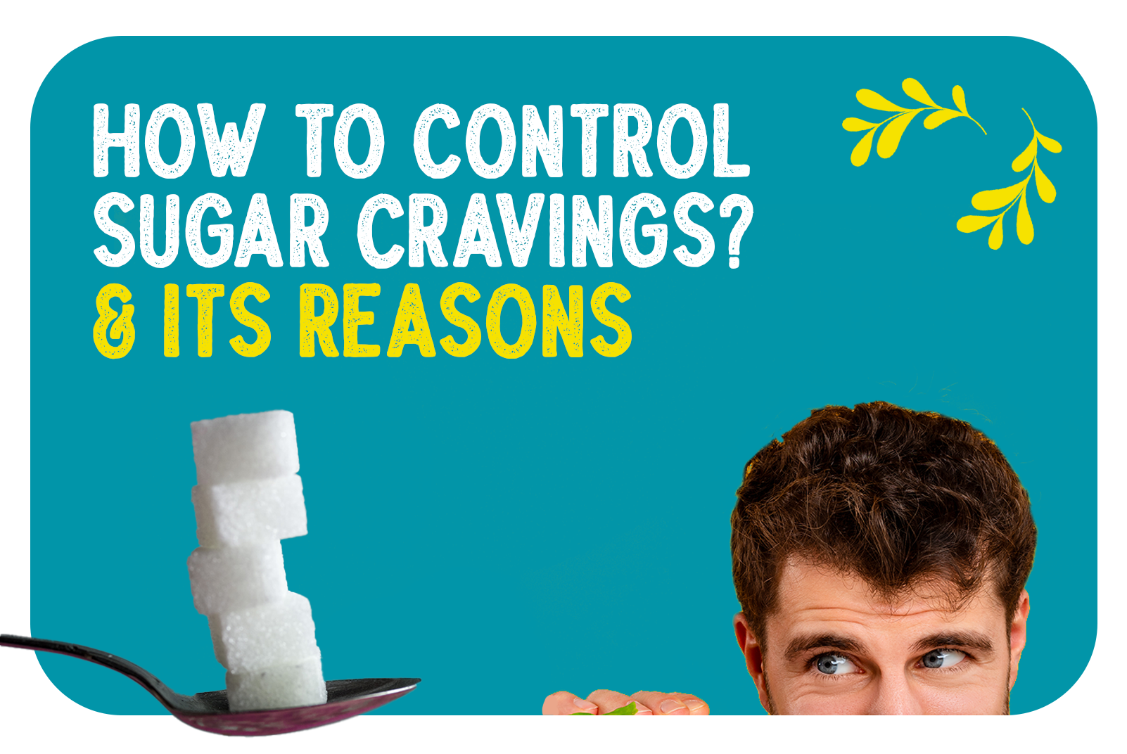 How to Control Sugar Cravings? & Its reasons. – Rewynd Snacks