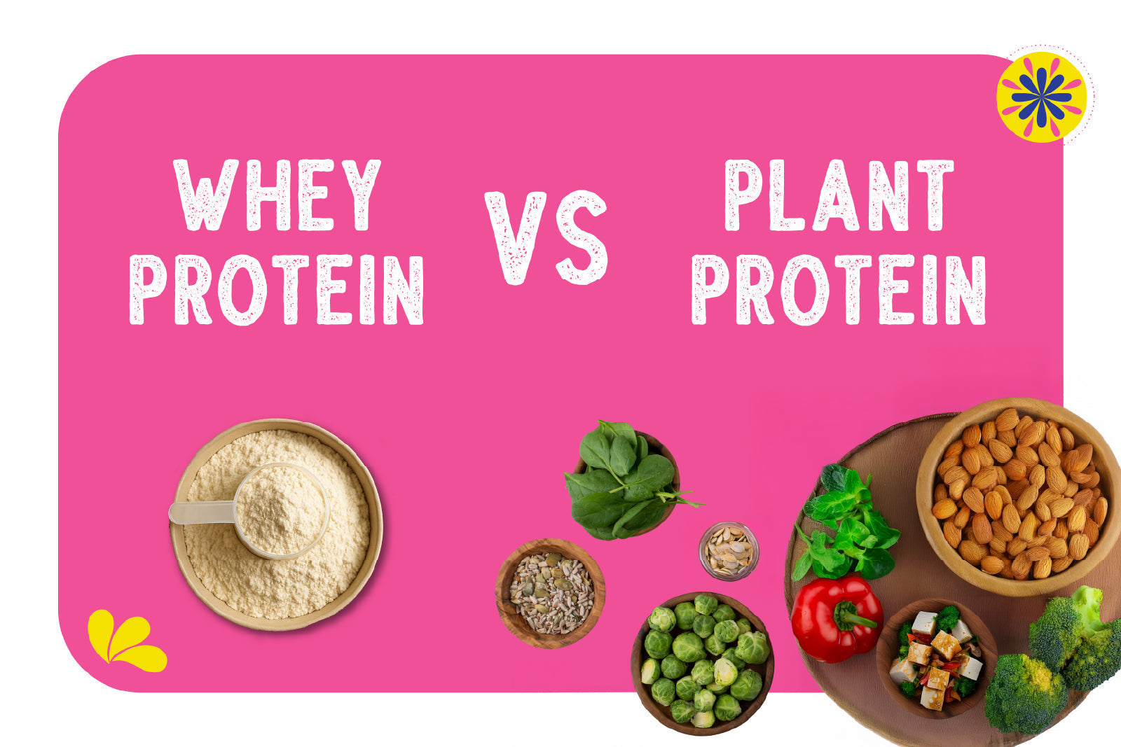 Whey Protein vs. Plant Protein: Which One's Right for You? – Rewynd Snacks