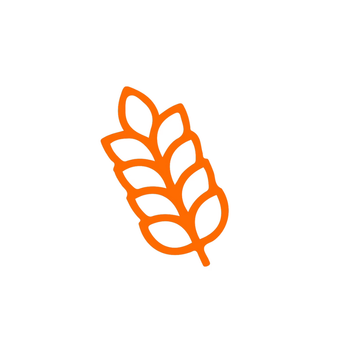 Rewynd Snacks - Healthy Desi Snacks With Twist